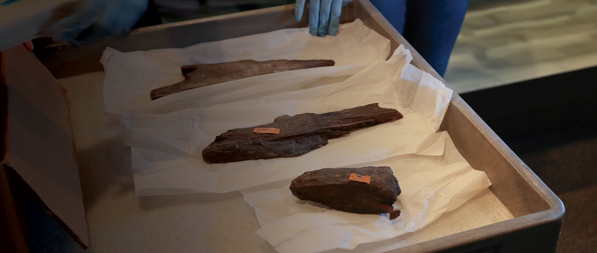 Dead Sea Scrolls: The Exhibition | Museum of the Bible