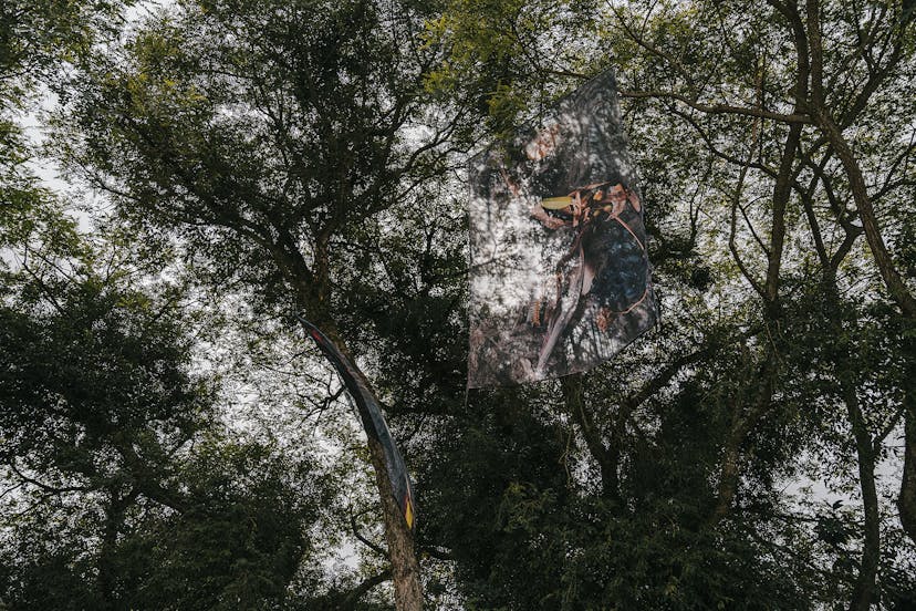 MON sem Paredes | MON