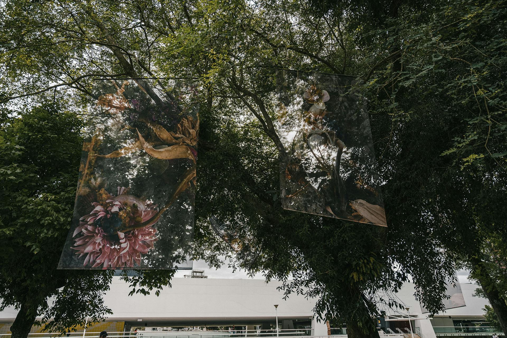 MON sem Paredes | MON