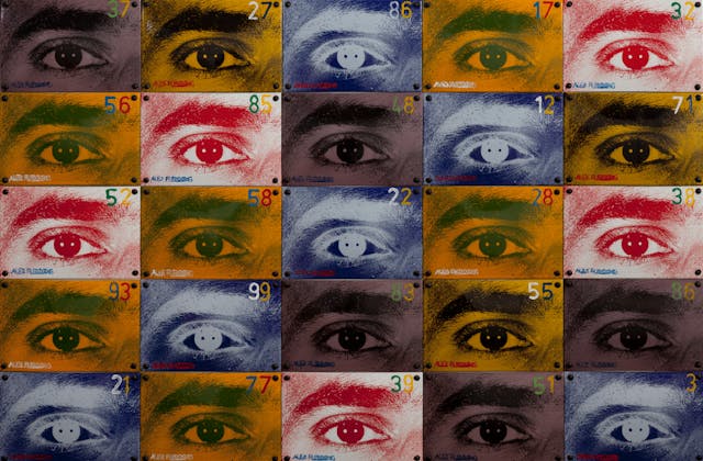 Alex Flemming 70 anos | MON