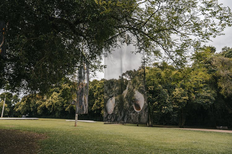 MON sem Paredes | MON