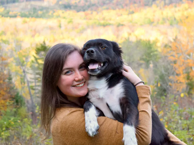 Comprendre l'âge chien en humain : Guide de calcul simple et efficace