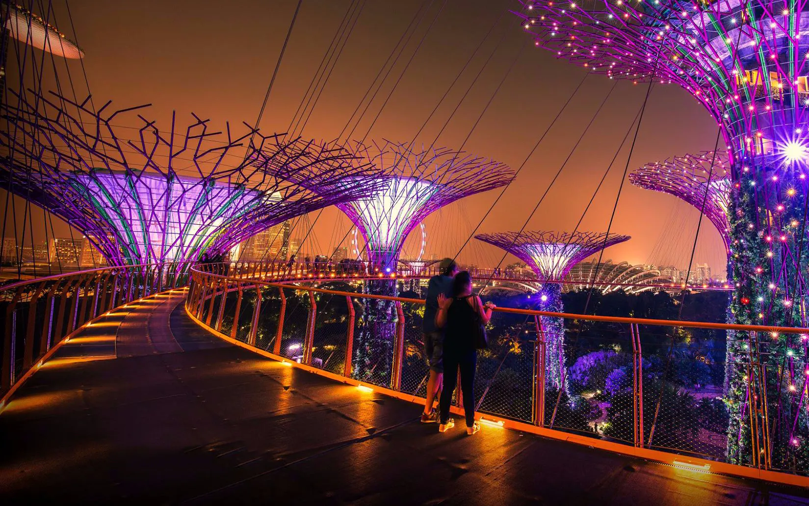 Gardens By The Bay Light Show Everything You Need To Know Gardens By The Bay Light Show Everything You Need To Know