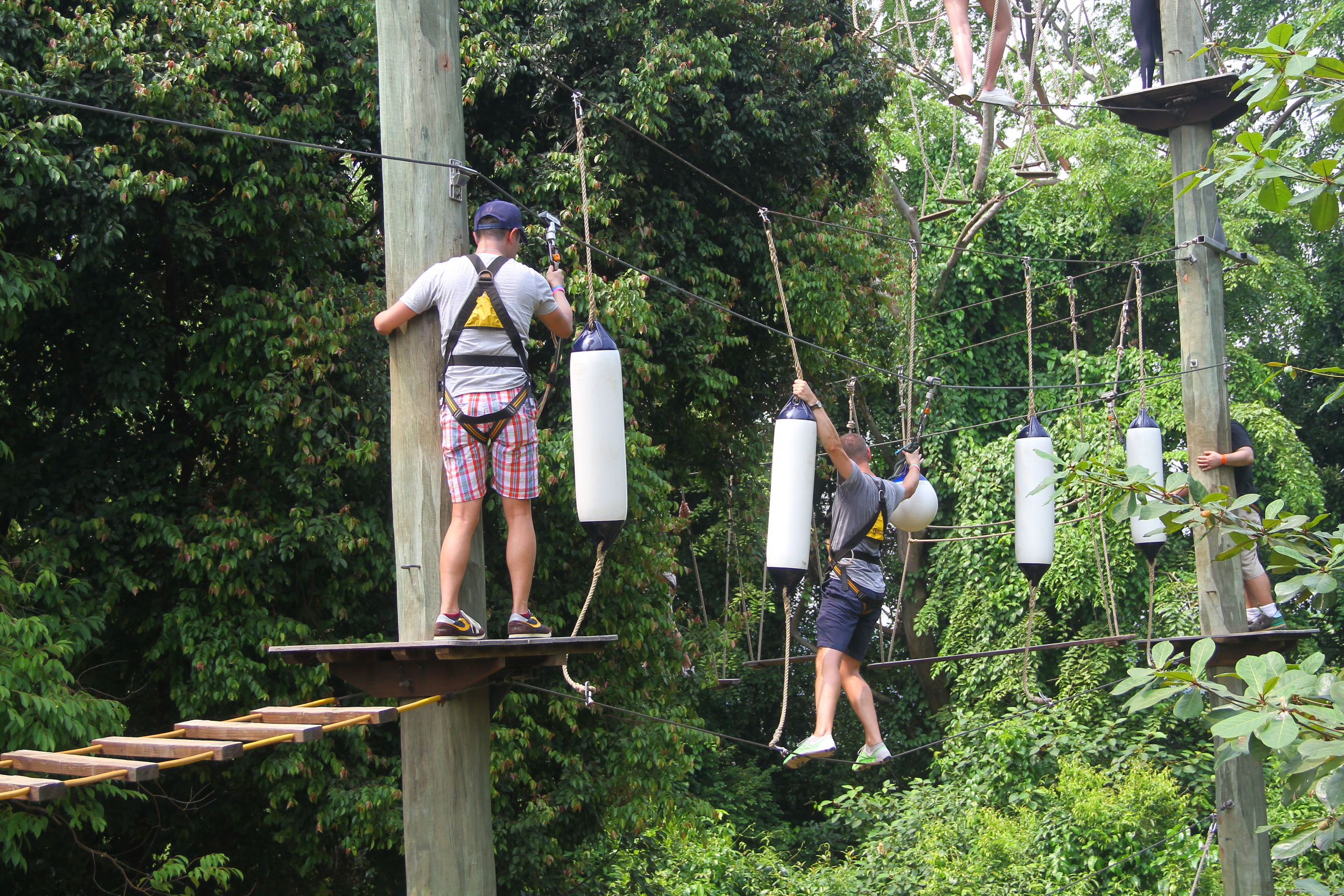 Mega Adventure | Zip, Climb & Jump | Exclusive Deals