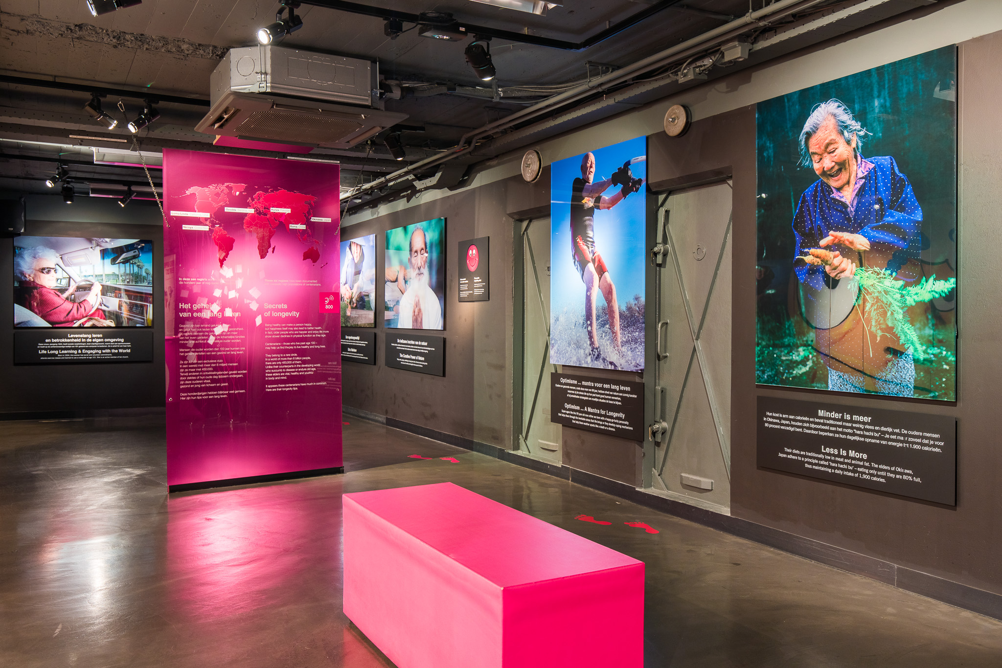 Buy Body Worlds Amsterdam Tickets | Instant Confirmation | Fast Track ...