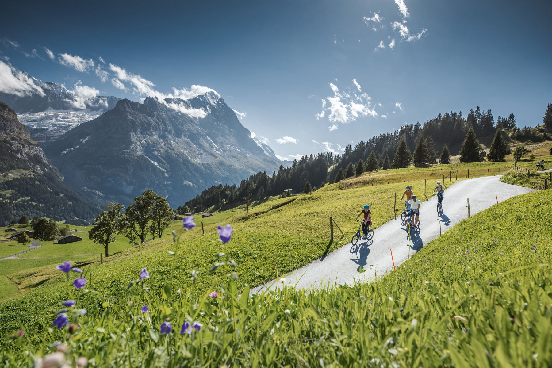 Grindelwald First Tickets 2023 | Gondolas, Skiing & More
