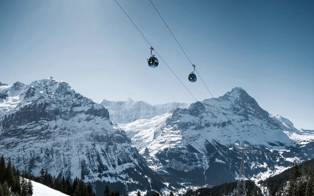 Grindelwald First Tickets 2023 | Gondolas, Skiing & More