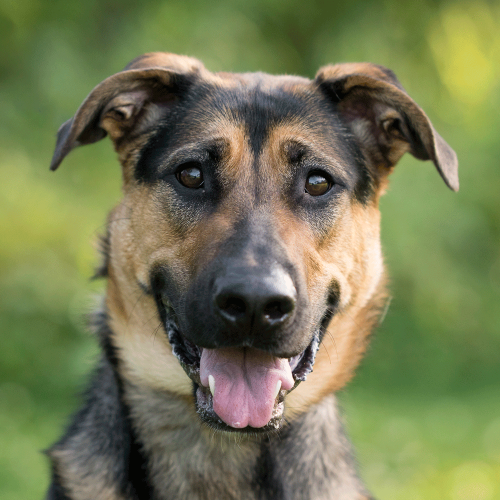 Team - Narratives Inc.