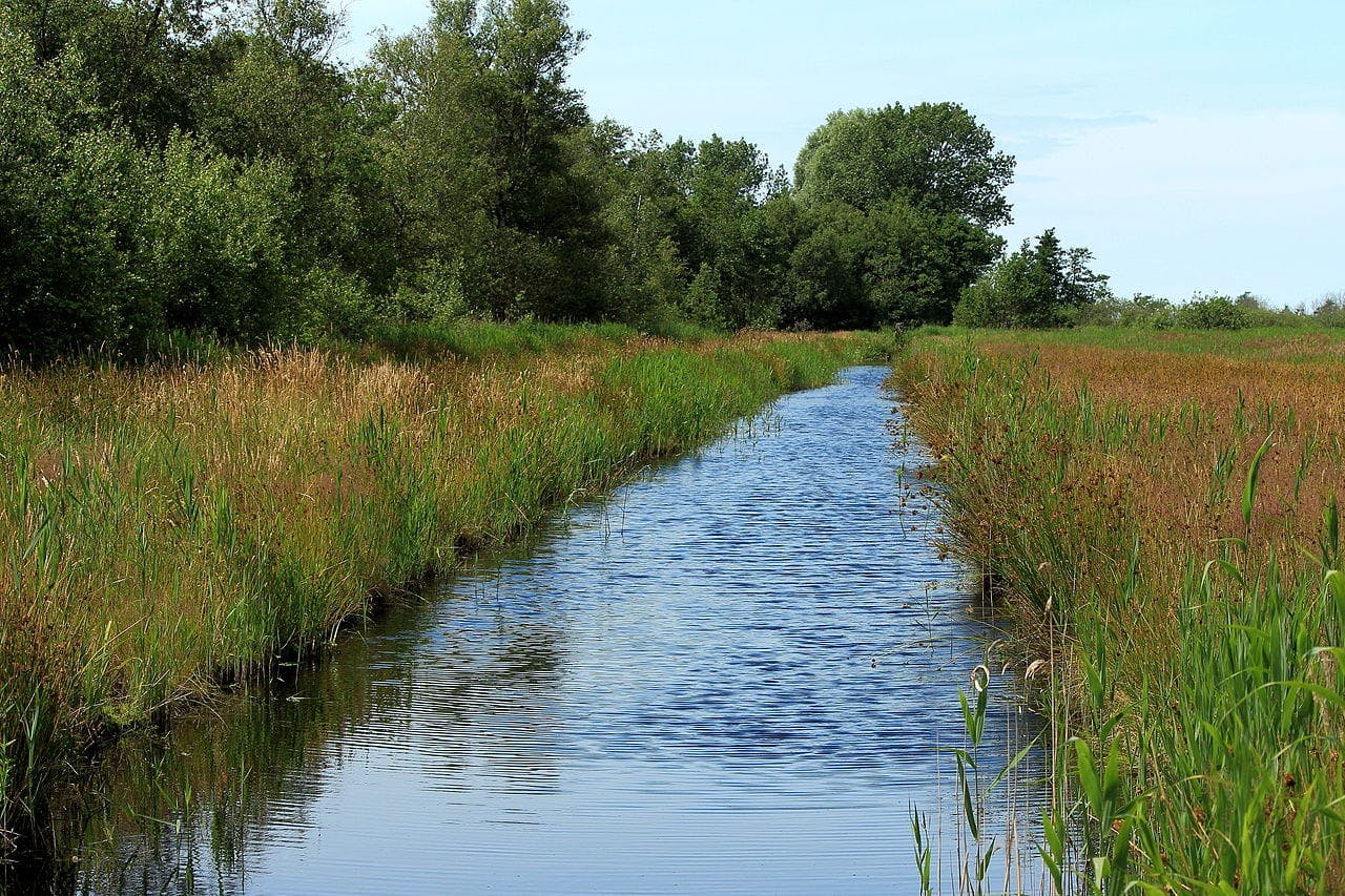 De Alde Feanen National Park - Hiking Trails, Maps, Sights, Information ...