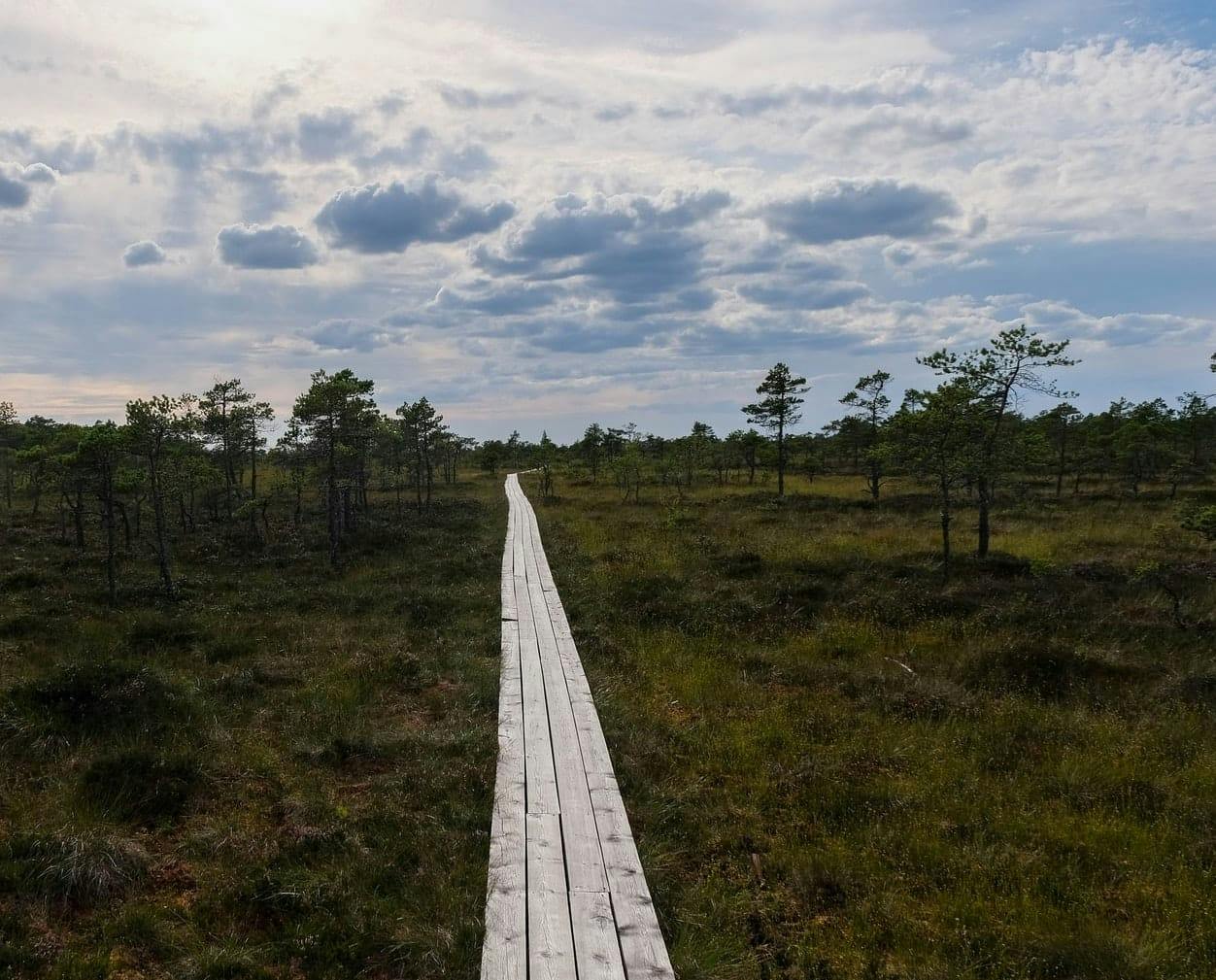 Soomaa National Park - Hiking Trails, Maps, Sights, Information and ...