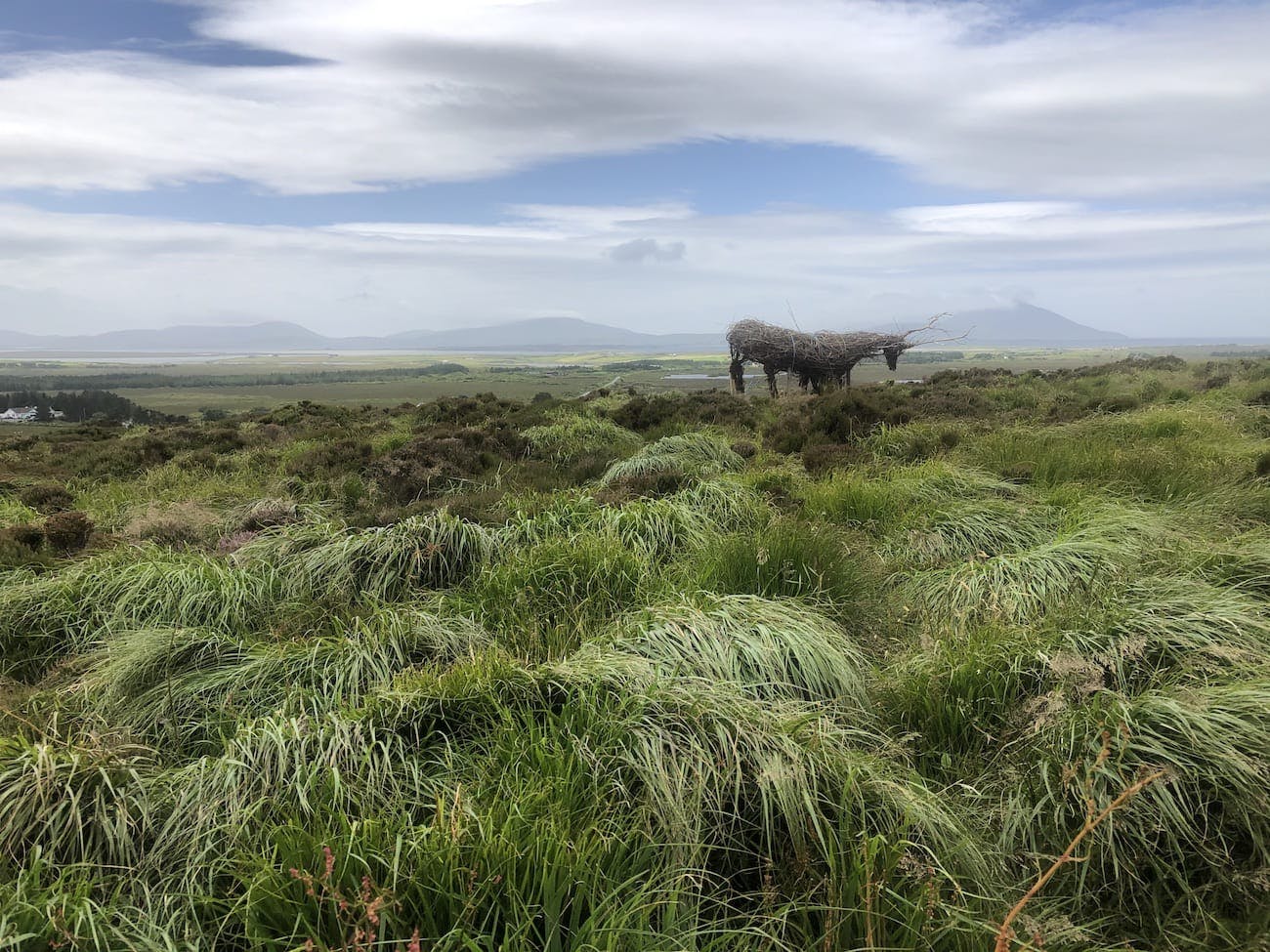 Wild Nephin National Park - Hiking Trails, Maps, Sights, Information ...