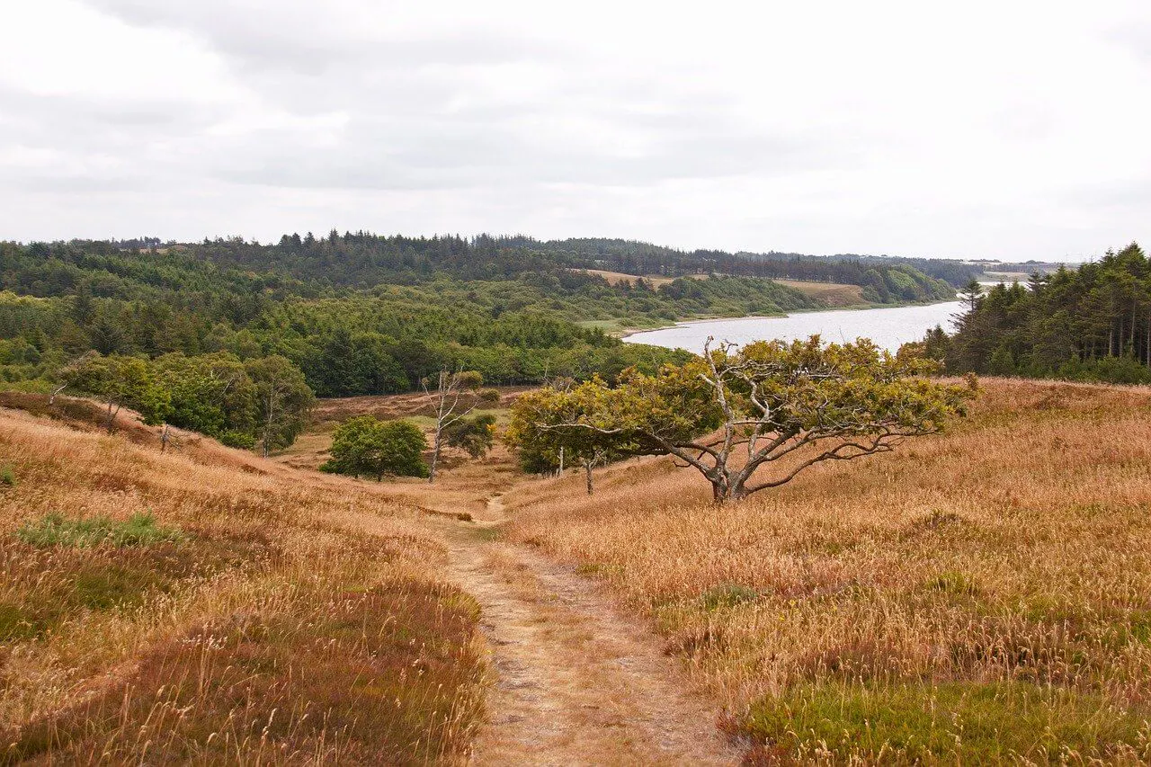 Thy National Park - Hiking Trails, Maps, Sights, Information and ...