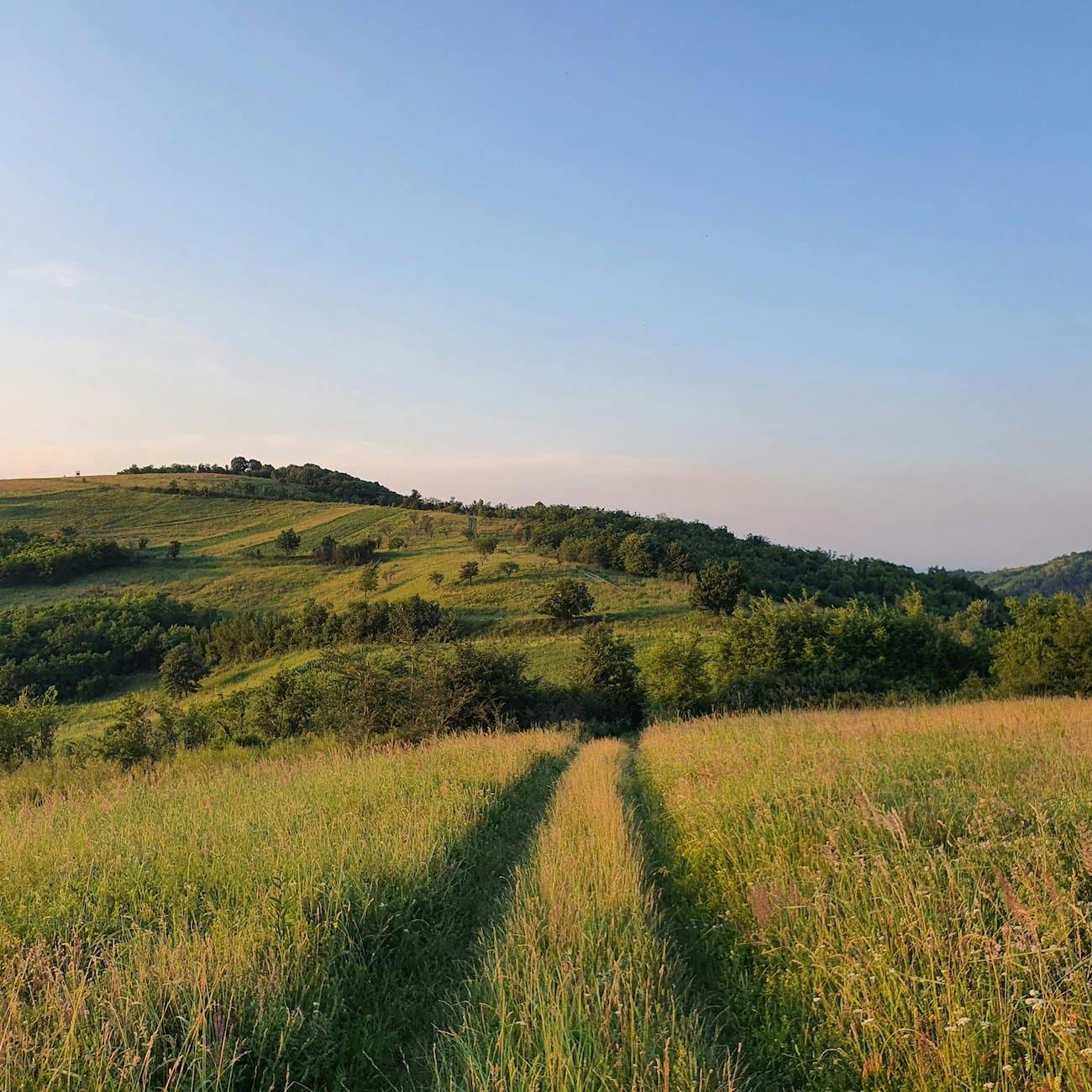 Fruška Gora National Park - Hiking Trails, Maps, Sights, Information ...