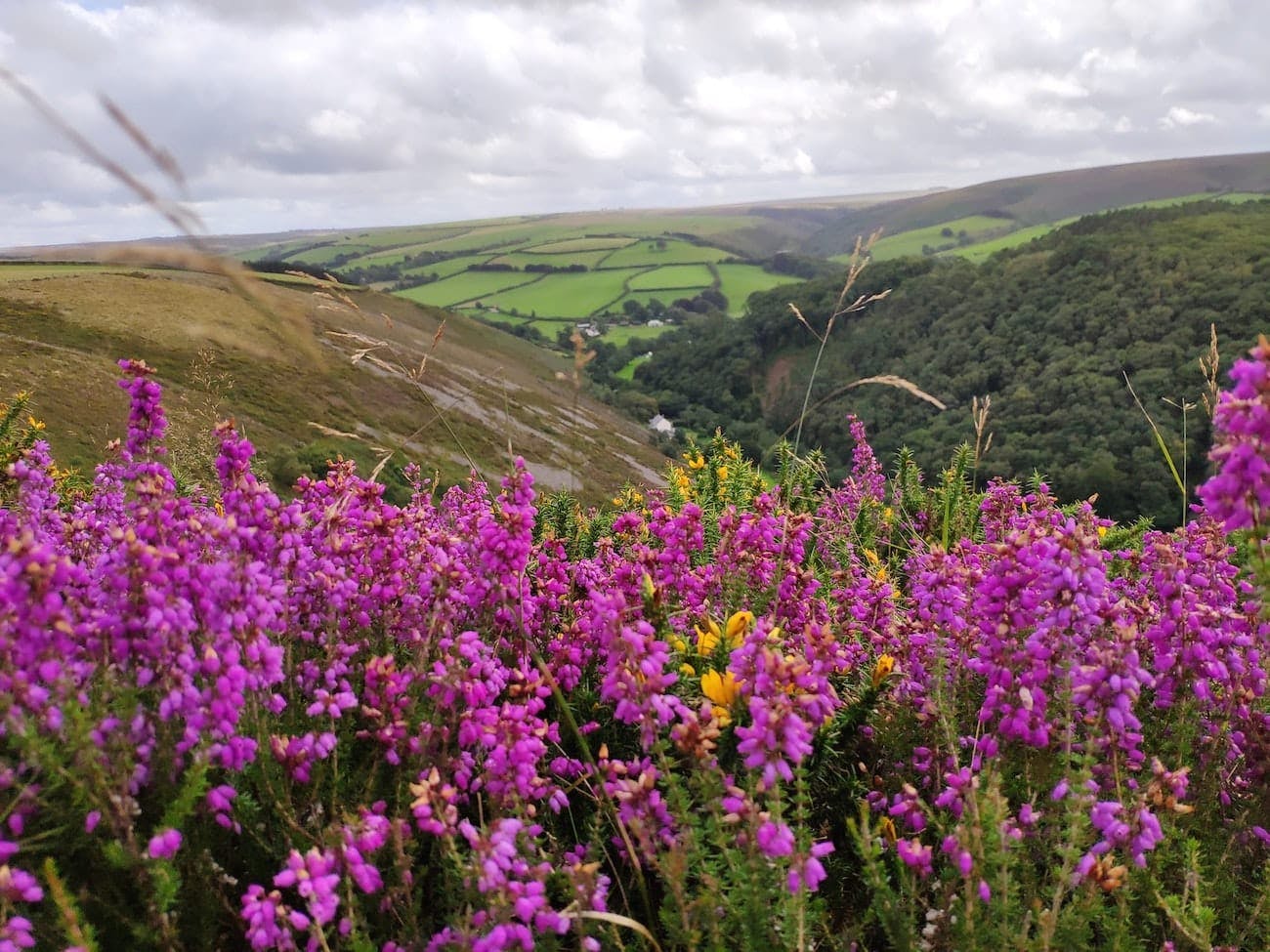 Exmoor National Park - Hiking Trails, Maps, Sights, Information and ...