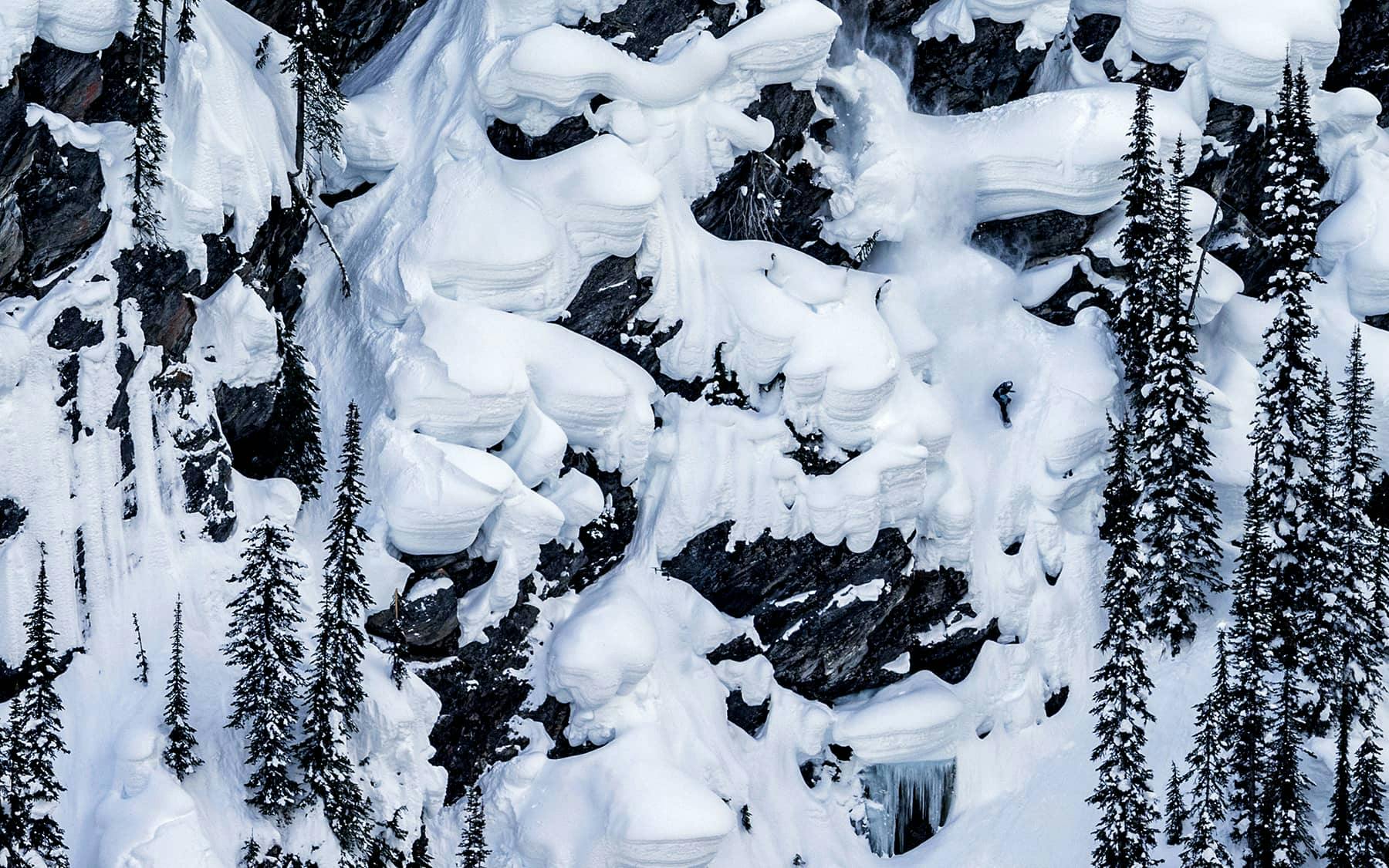 Natural Selection Tour