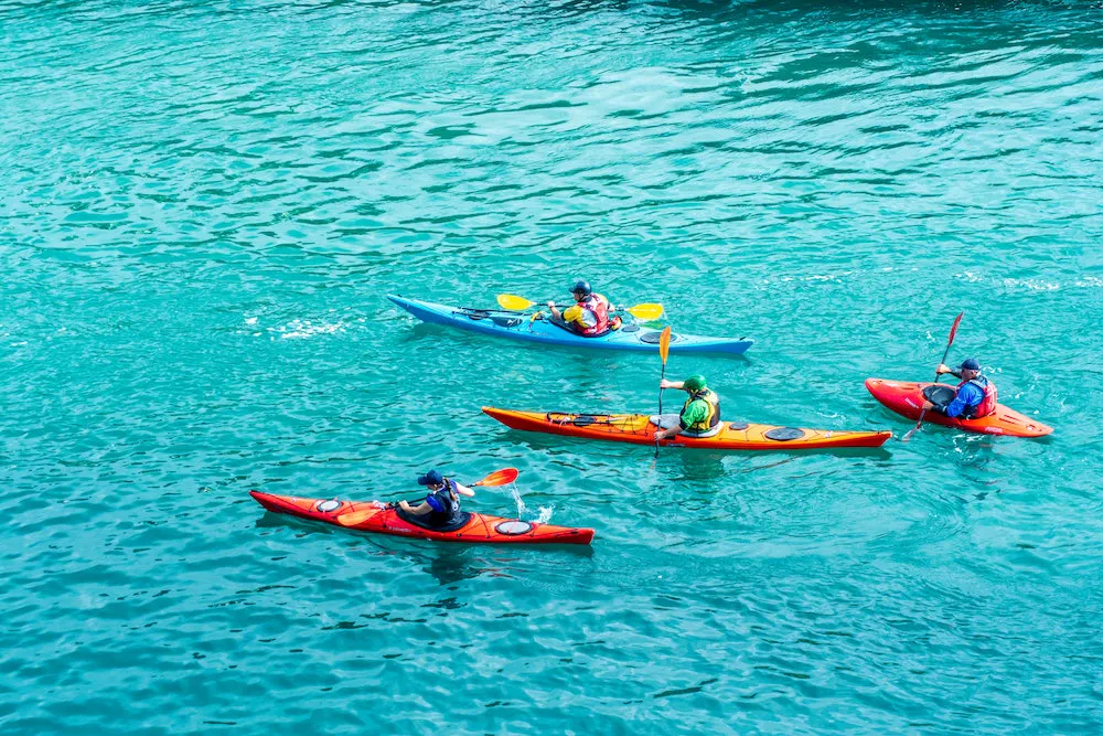 10 Best Canoe and Kayak Storage Rack for All Budgets