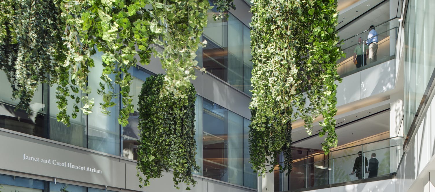 Building Vertical Hospitals Next Frontier in Healthcare Design | NBBJ