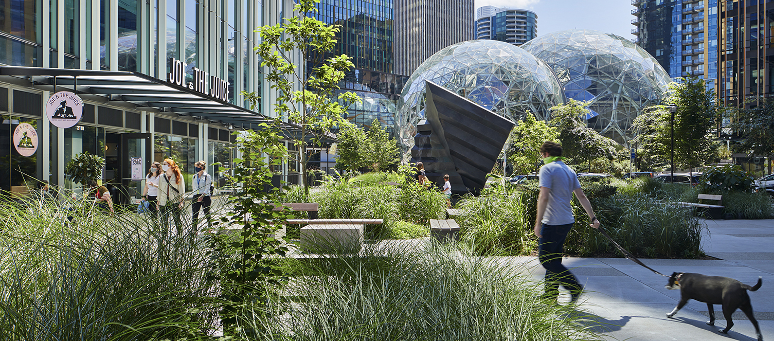 Revitalizing the Street Level: Opportunities to Rethink the Ground ...