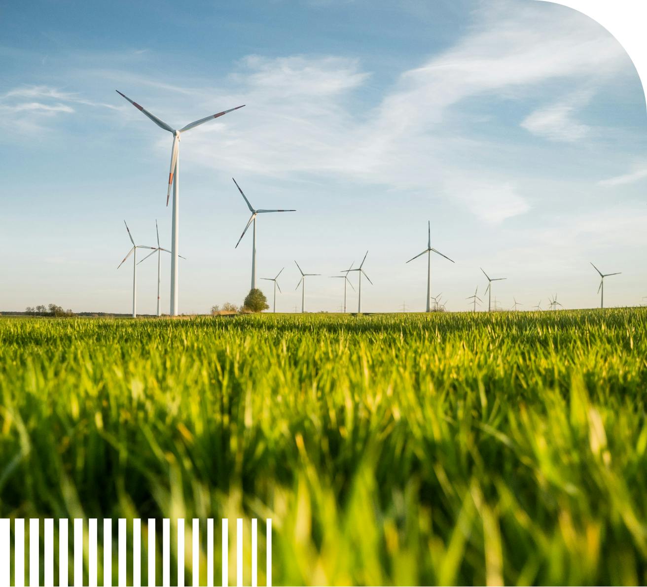 Sustainability | Next Big Thing AG