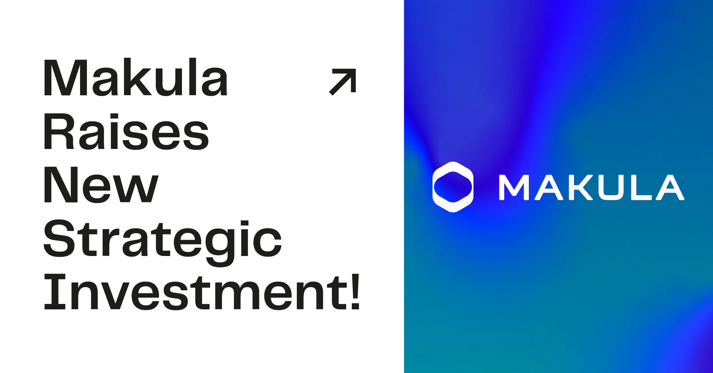 Makula Raises Strategic Funds For Future Growth | Next Big Thing AG