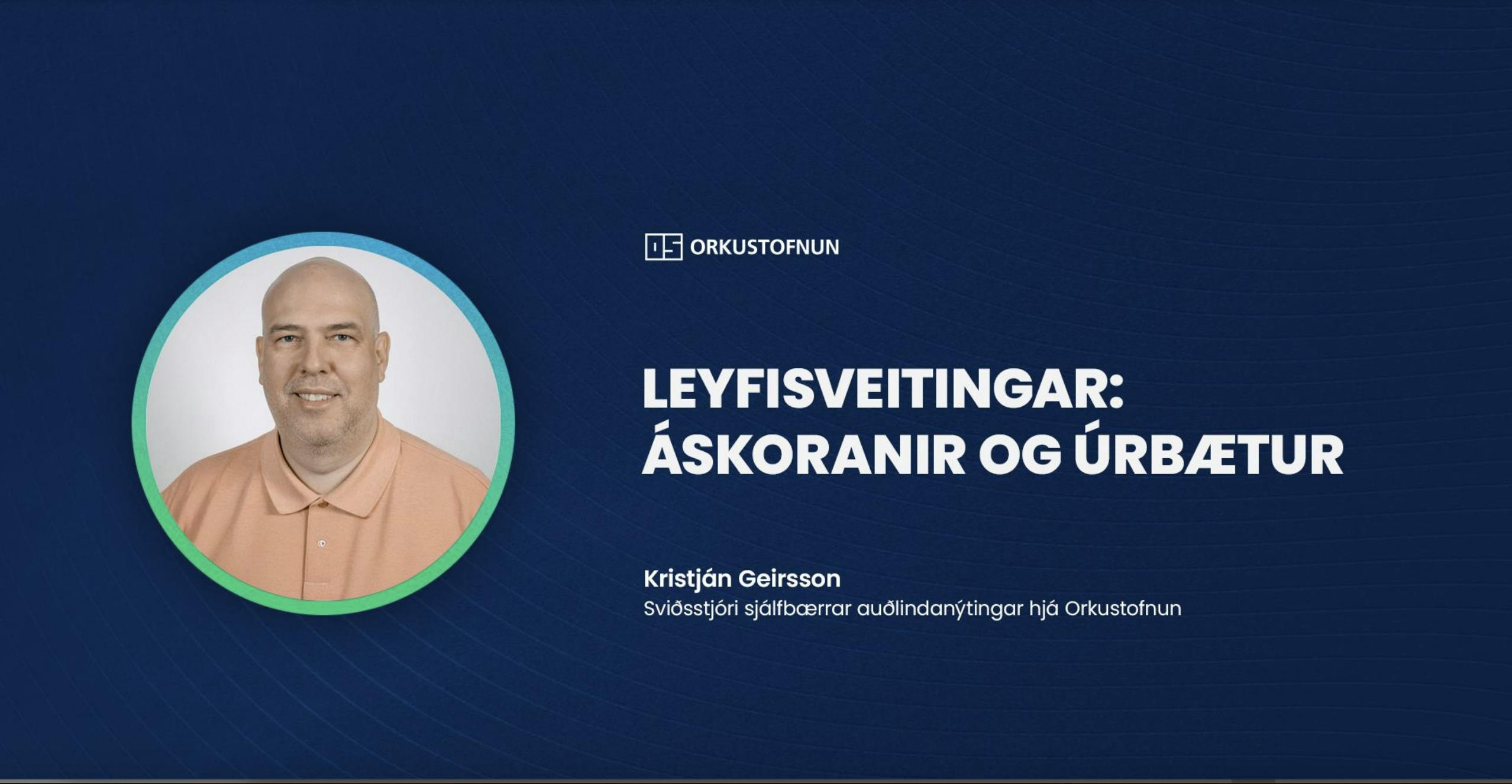 Mikilvægi skilvirkra leyfisveitinga og umbætur í ferlum Orkustofnunar ...