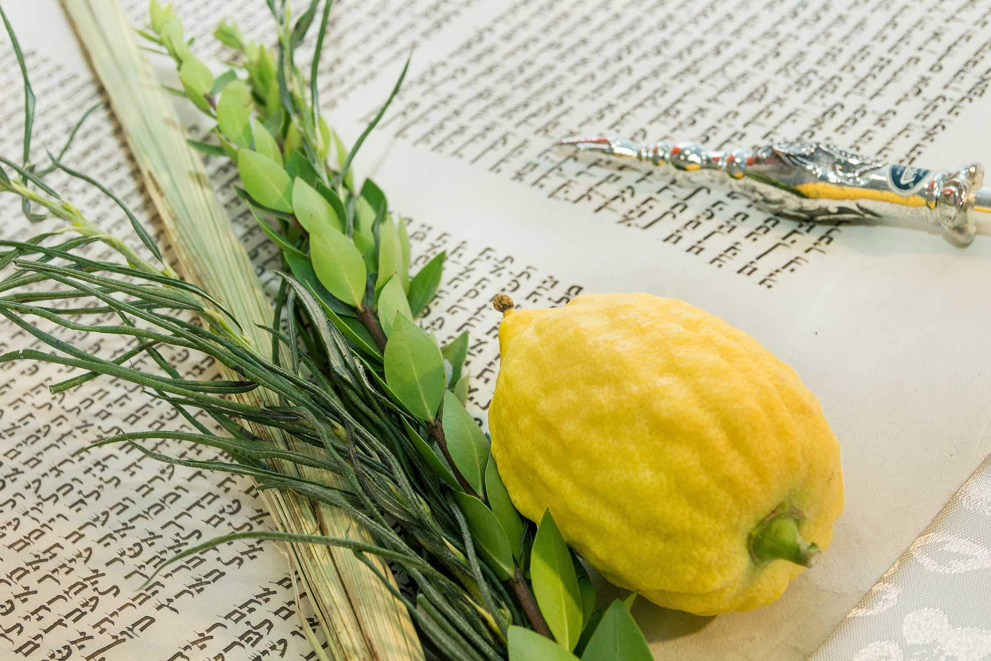 What is the meaning behind Sukkot?
