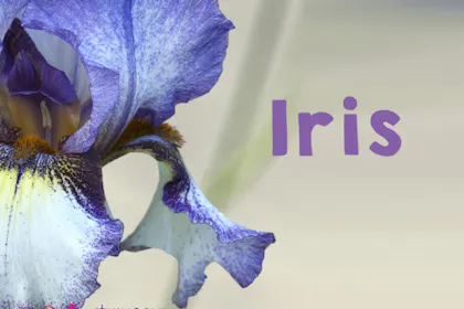 32 Pretty Spring Baby Names - Netmums