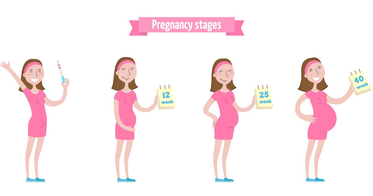 Your Week-By-Week Pregnancy Guide - Netmums