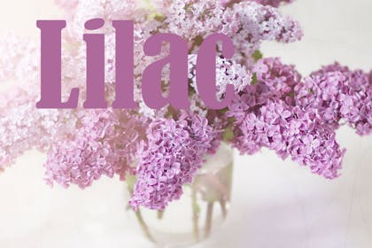 29 Colourful Rainbow-Inspired Baby Names - Netmums