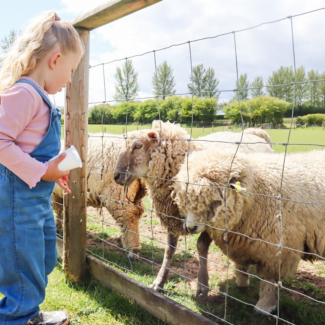 30 Of The UK's Best Adventure Farm Parks For Kids - Netmums