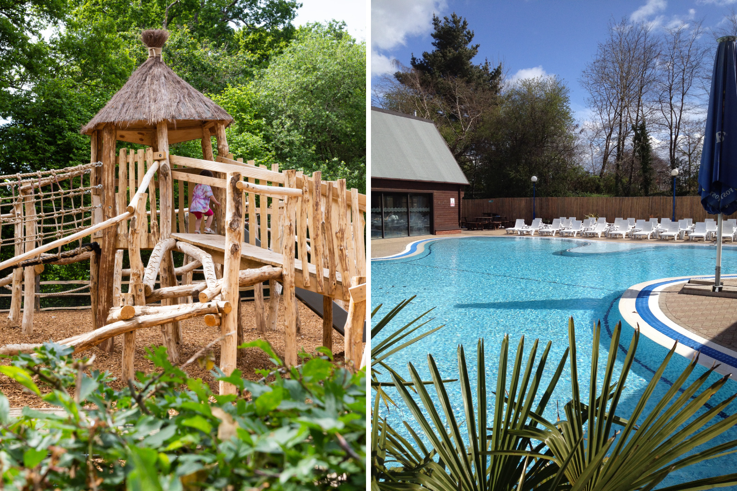 Win a family holiday in the New Forest - Netmums
