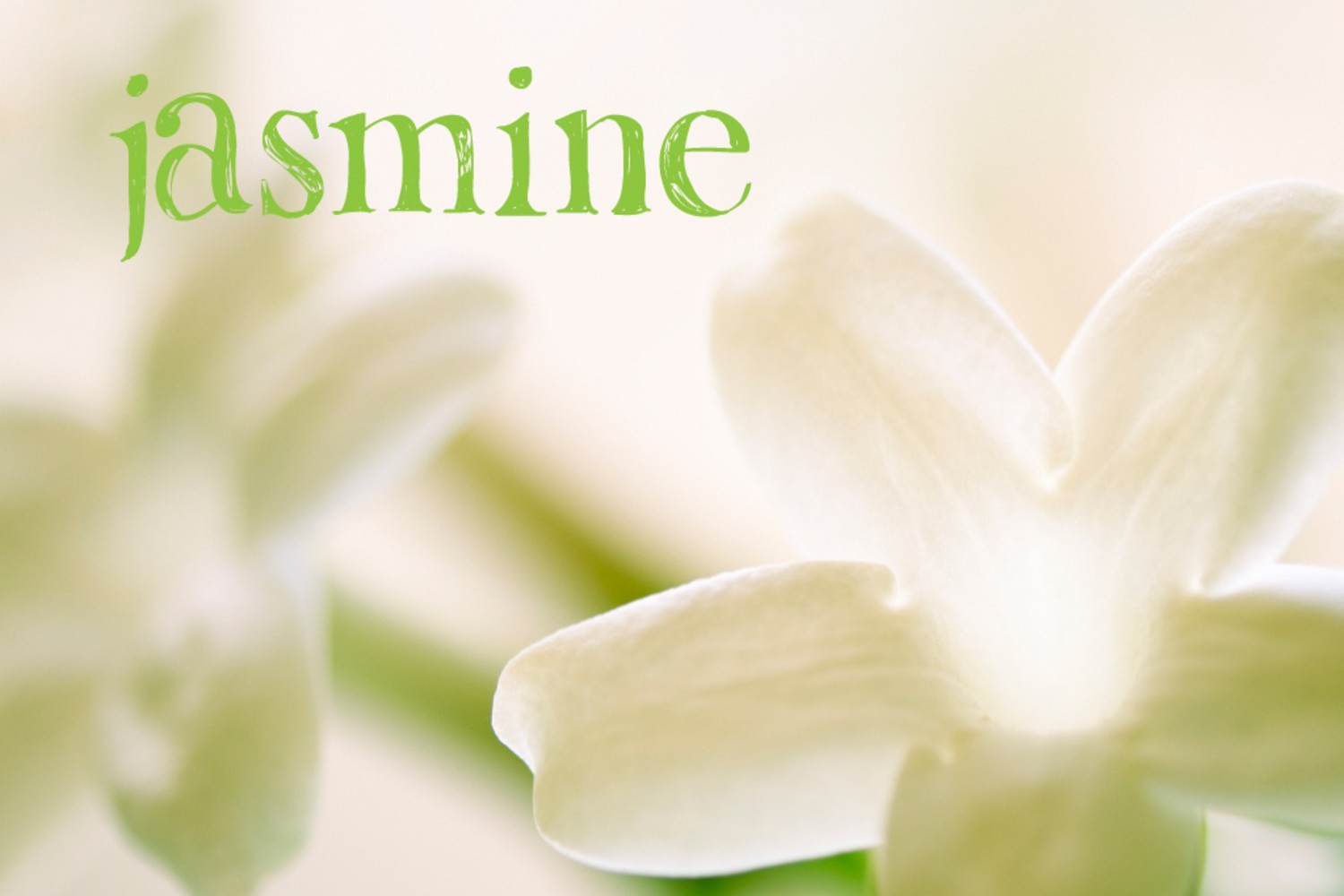 Flower baby names - Netmums