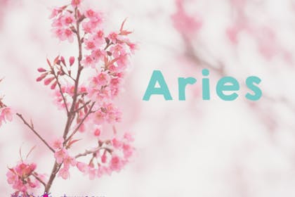 32 Pretty Spring Baby Names - Netmums