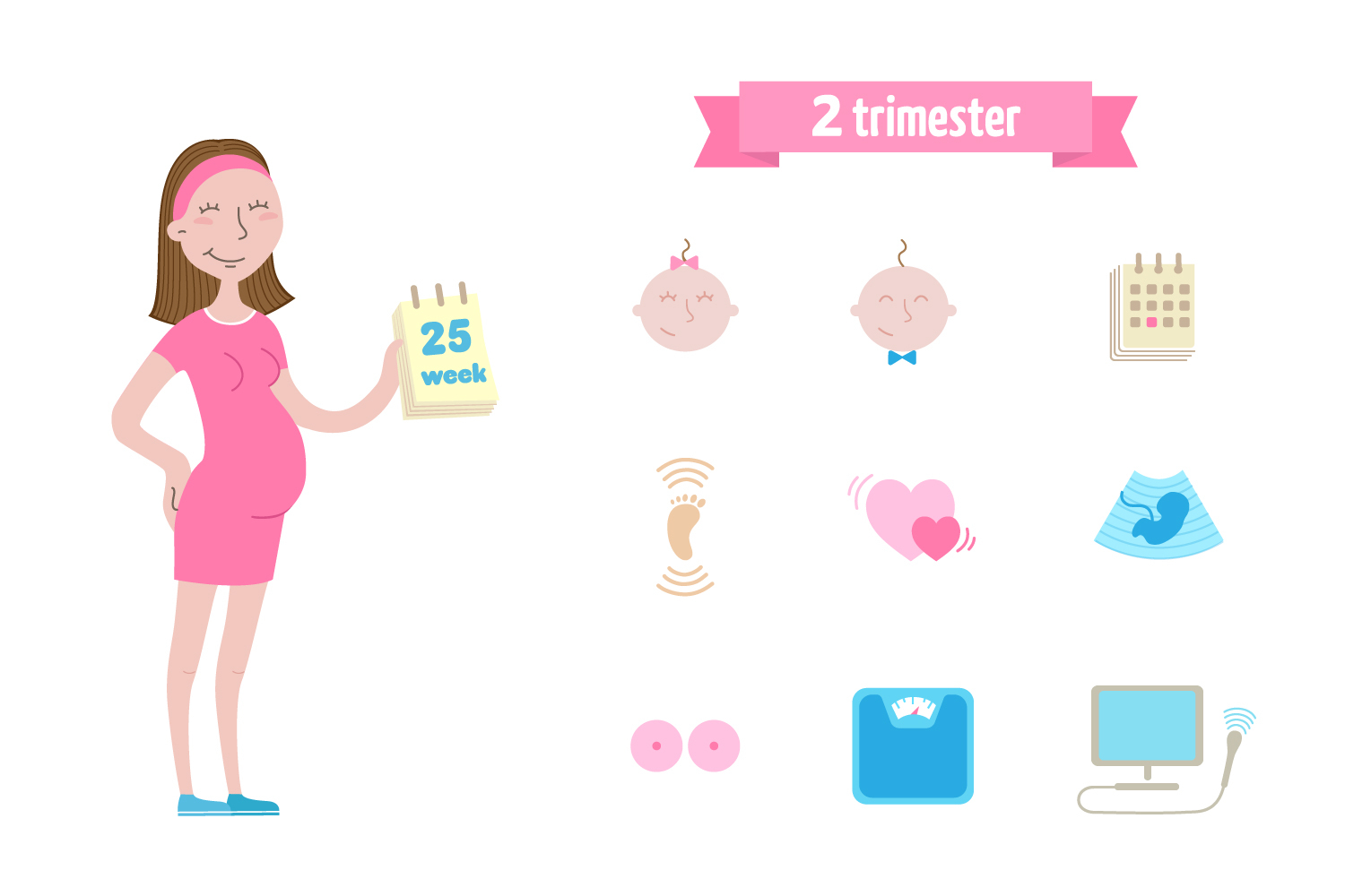 Second trimester - Netmums