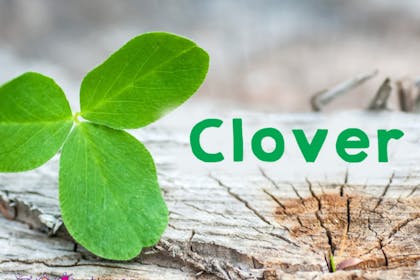 32 Pretty Spring Baby Names - Netmums