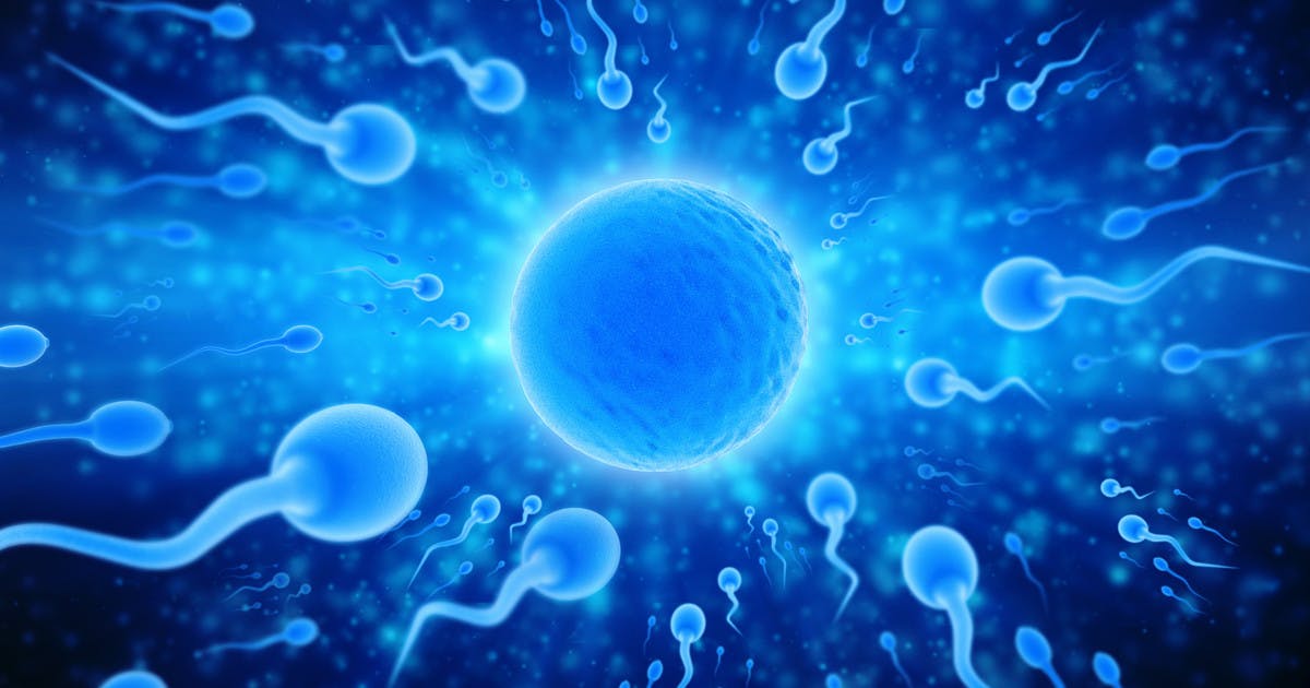 REVEALED: The Best Sex Position To Conceive A Baby - Netmums