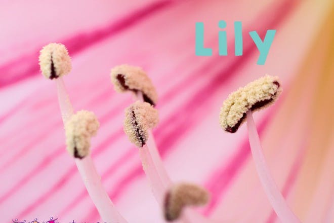 32 Pretty Spring Baby Names - Netmums