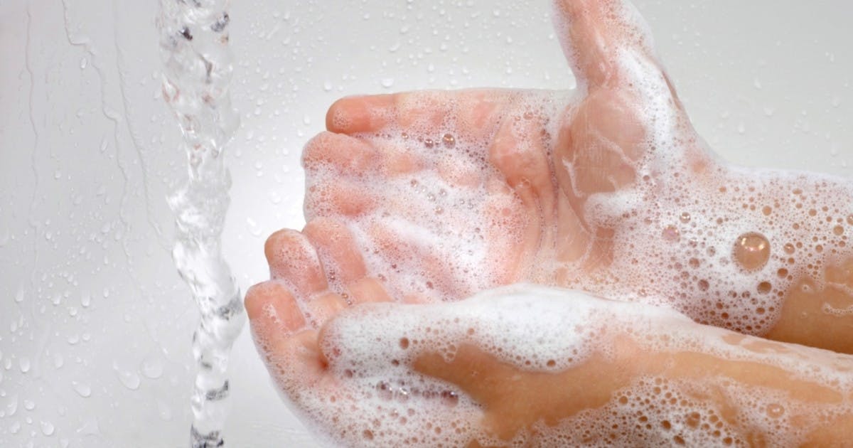 What You Need To Know About The Shigellosis Vomiting Bug Sweeping The ...