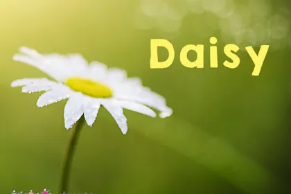 32 Pretty Spring Baby Names - Netmums
