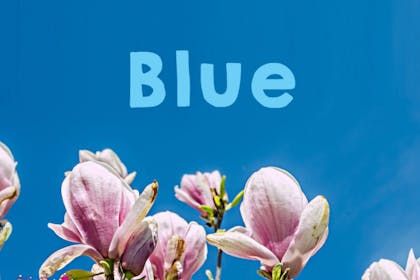 32 Pretty Spring Baby Names - Netmums