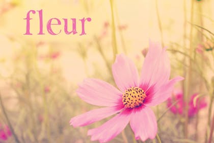 Flower baby names - Netmums