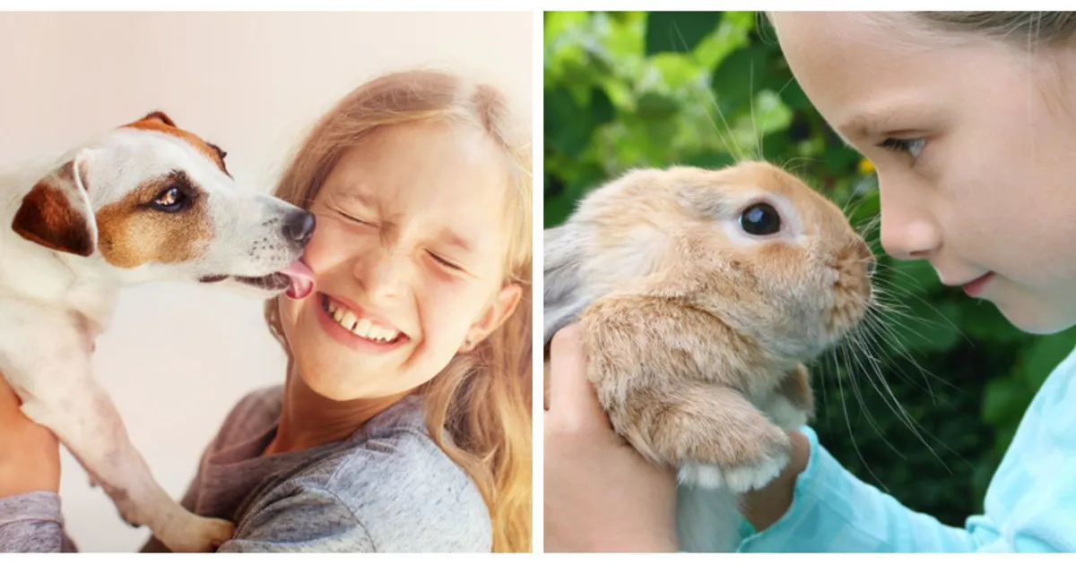 QUIZ: What Pet Should I Buy My Kids? - Netmums