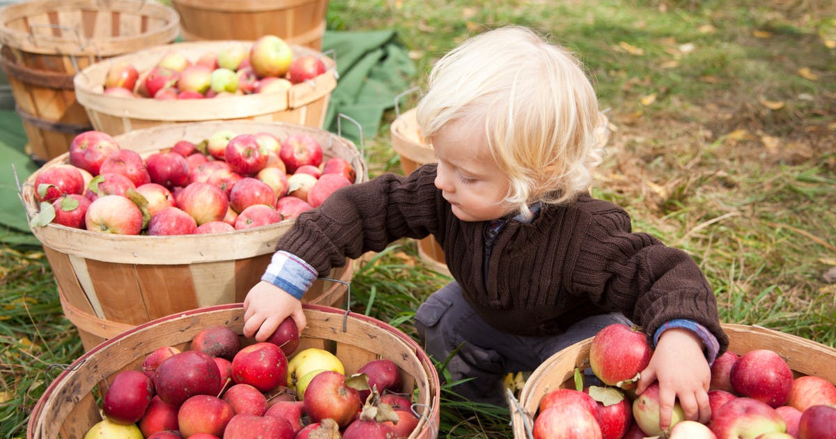 15 Of The Best Harvest Festival Events To Take Your Kids To Netmums 15-of-the-best-harvest-festival-events-to-take-your-kids-to-netmums