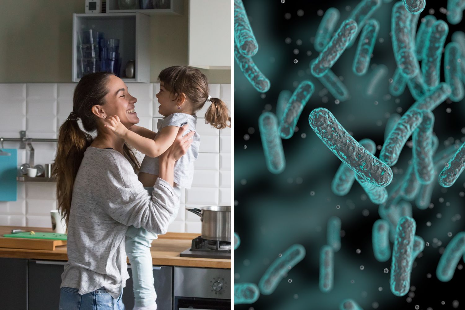 The surprising kitchen item that could cause 13 deadly diseases - Netmums