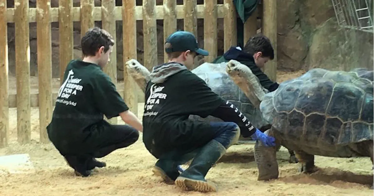 A Day Out With The Kids: Zookeeper At London Zoo - Netmums