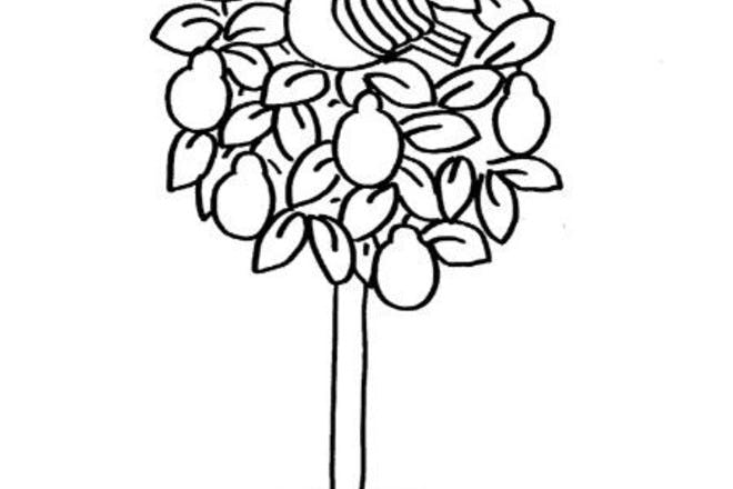 Christmas Cards To Print And Colour In - Netmums