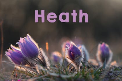 32 Pretty Spring Baby Names - Netmums