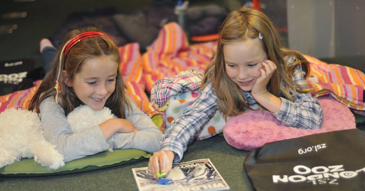 You And Your Kids Can Stay The Night At These Amazing UK Attractions ...