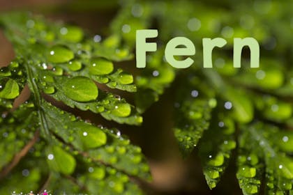 32 Pretty Spring Baby Names - Netmums