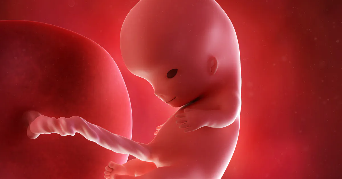 10 Weeks Pregnant | Pregnancy Week-By-Week - Netmums